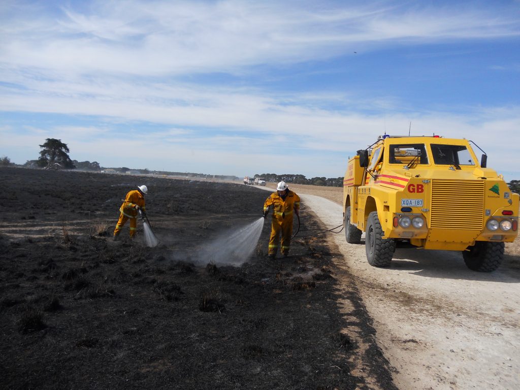 Fire management | ForestrySA