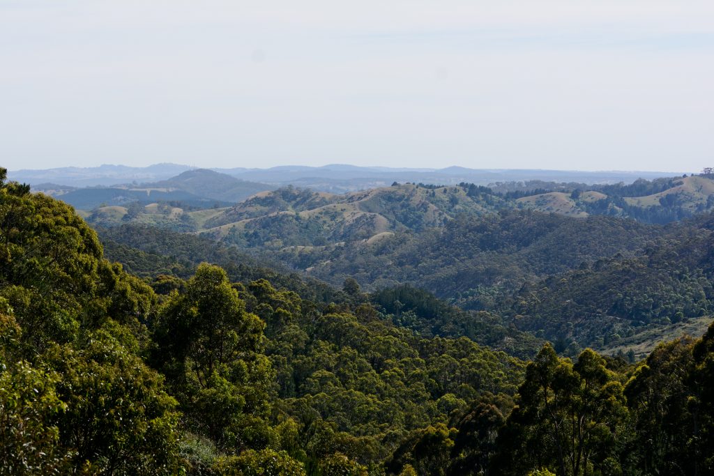 Mount Lofty Ranges Recreation and Tourism Strategy 2020-2026 | ForestrySA