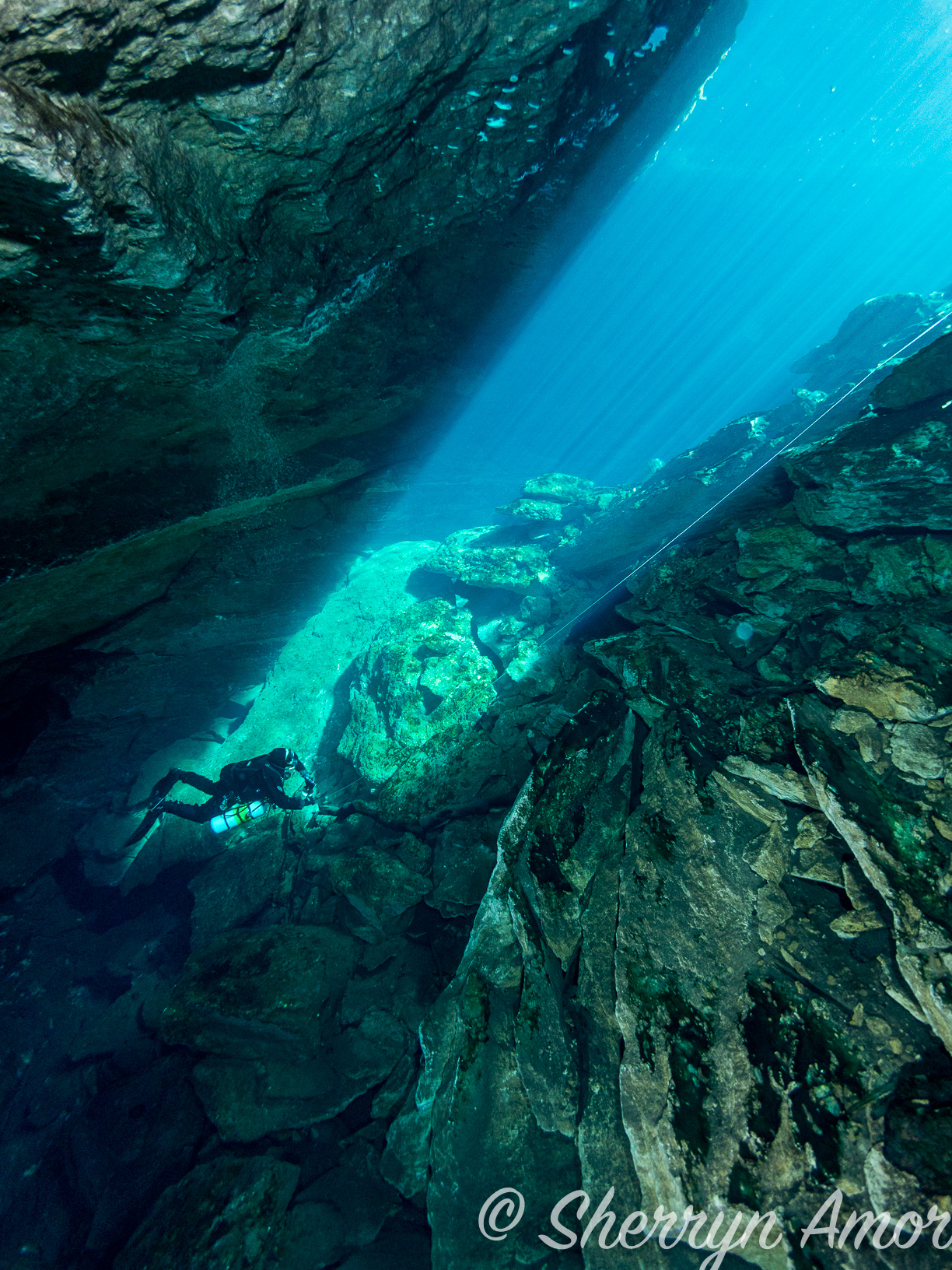 Caving | ForestrySA