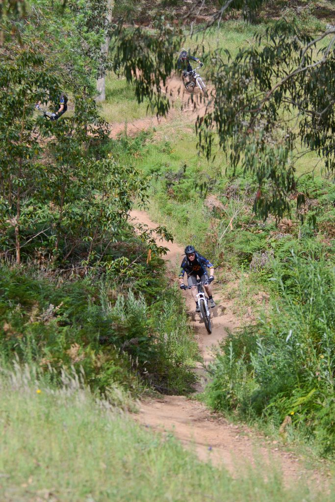 Feedback wanted: Cudlee Creek Forest Trails Fire Recovery Strategy ...