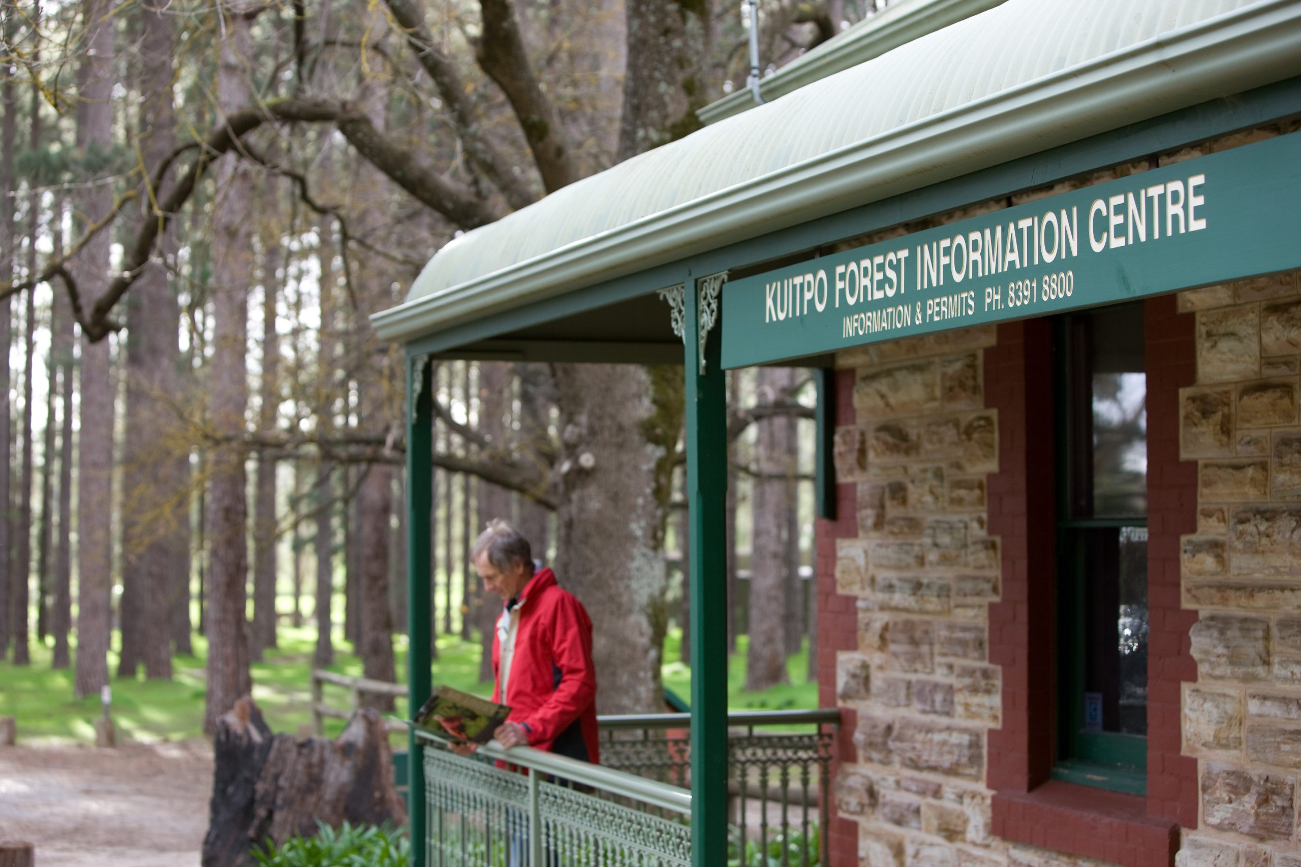 Plan your visit | ForestrySA