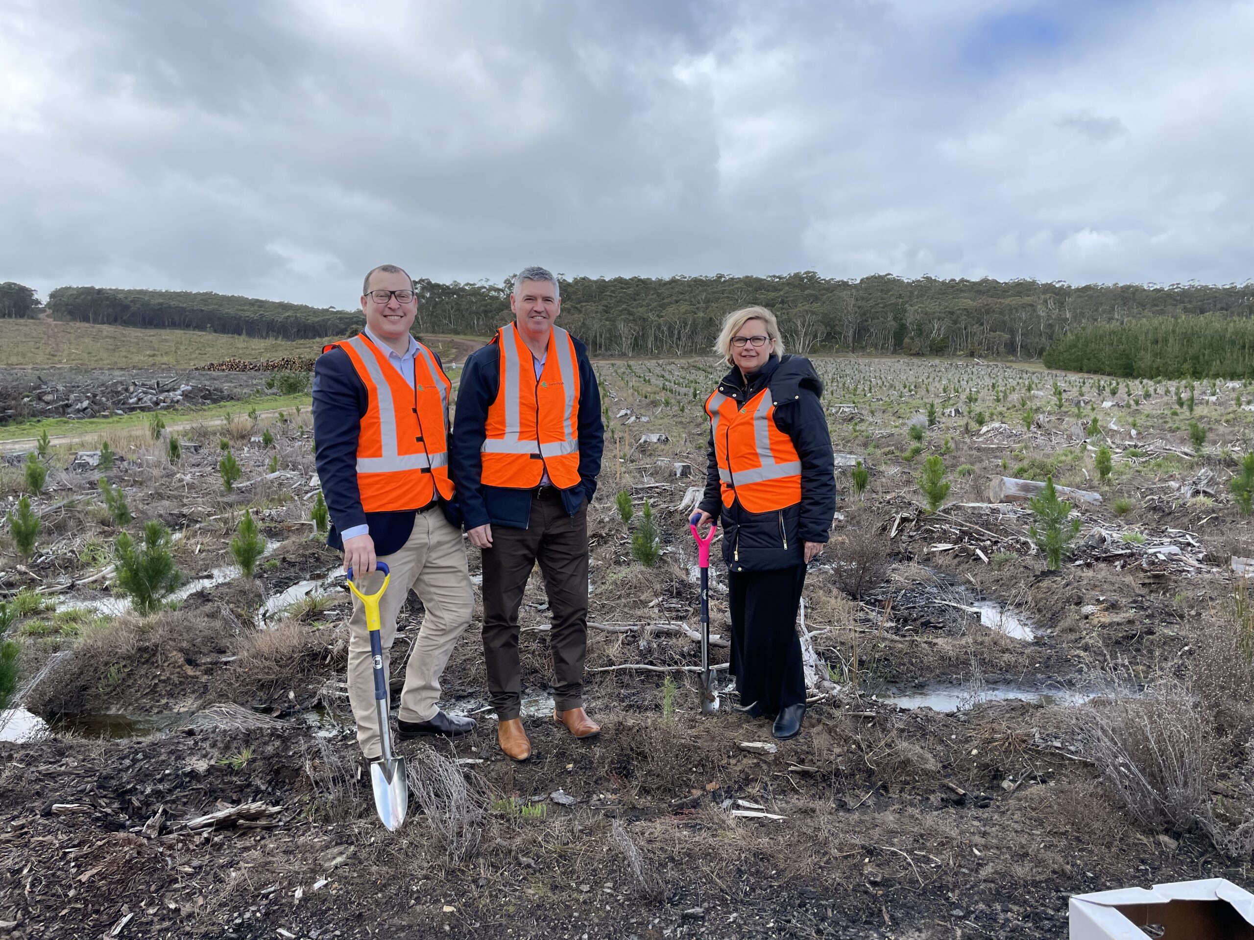 National Forestry Day 2022 | ForestrySA