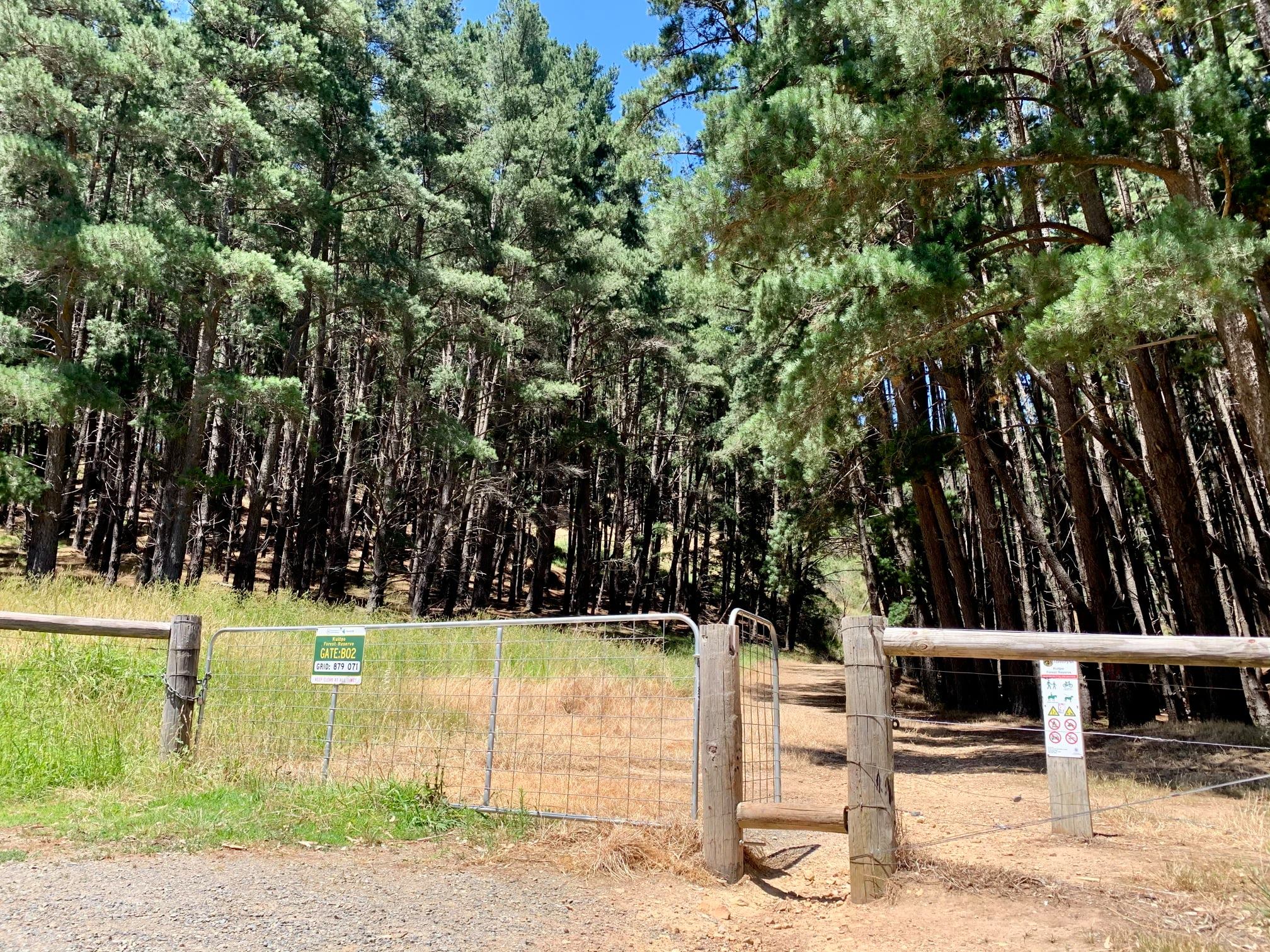 FOREST CLOSURE - HARVEST OPERATIONS - BONE GULLY (KANGAS) | ForestrySA